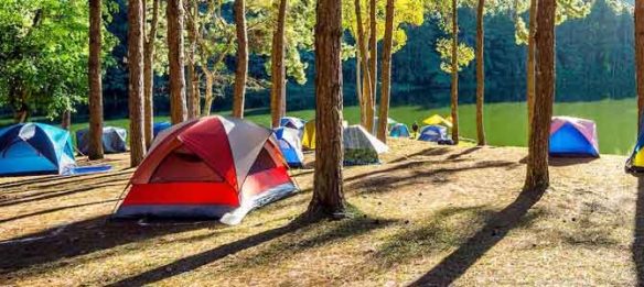 Cómo organizar un campamento de verano con éxito