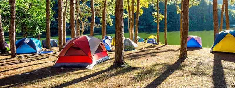 Cómo organizar un campamento de verano con éxito